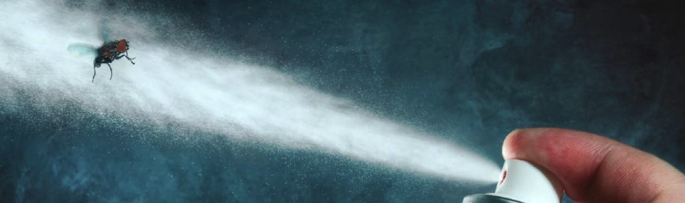 Cómo acabar con... - Orion